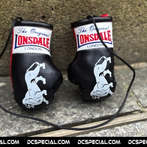 Lonsdale Ensemble de mini gants de boxe 'The Original Lonsdale' | DC's ...
